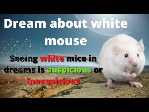 What does white mouse dream interpretation meaning,Its Good or negative to dream about white rats?