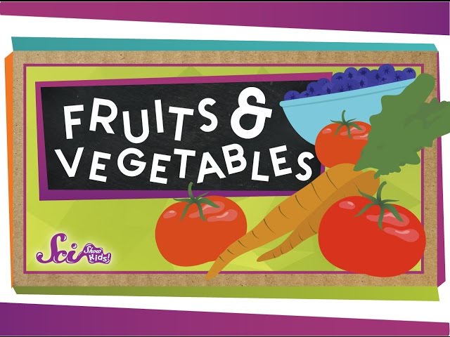 Understanding the Difference Between Fruits and Vegetables | Galaxy