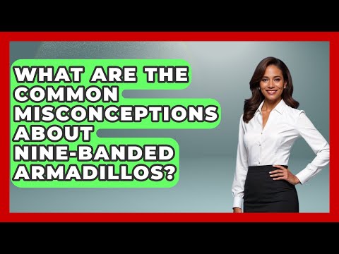 What Are The Common Misconceptions About Nine-banded Armadillos? - The Wild Life Explorer