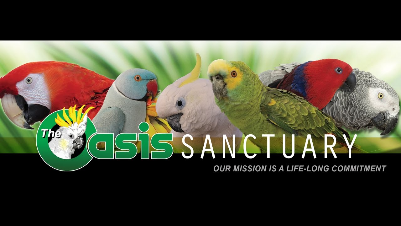 The Oasis Sanctuary Capital Expansion Project