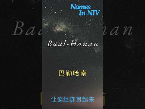 Baal Hanan巴勒哈南
