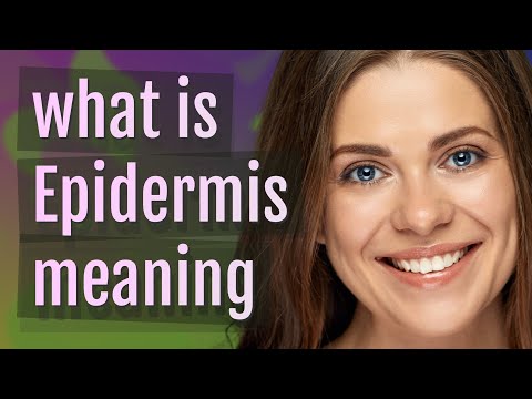 Epidermis | meaning of Epidermis