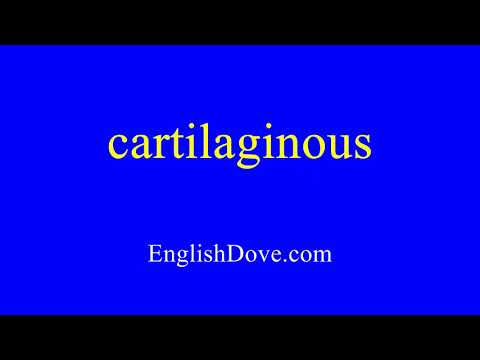 How to pronounce cartilaginous in American English