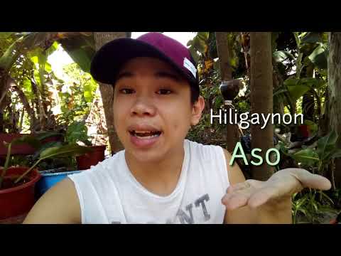 Tagalog and Hiligaynon One word different meaning
