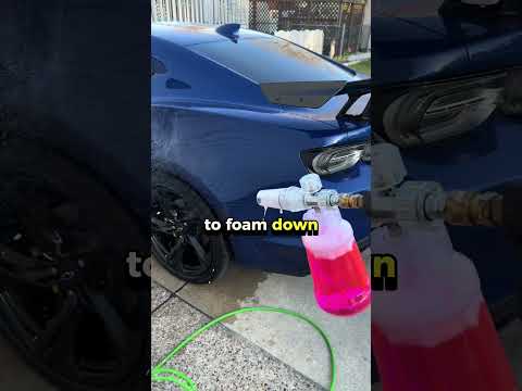 Pollen-Free Car Care #detailing #v8