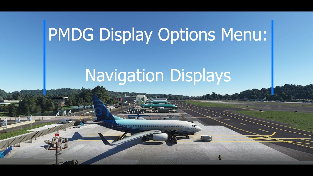 VSD (vertical situation display) button in 737 doesn't work - Aircraft ...
