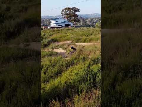 Subbing back to everyone that subs! #mtb #bike #rooster #slalom #mountainbike