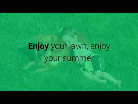 Go Organic Lawn Care. Oakland, NJ Have a Greener, Healthier Lawn. Work free