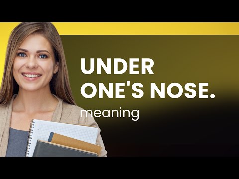 Under One's Nose: Unveiling the Hidden in Plain Sight