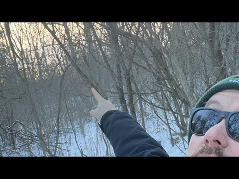 Treasure hunting LIVE for Leap Day!  [Geocaching]