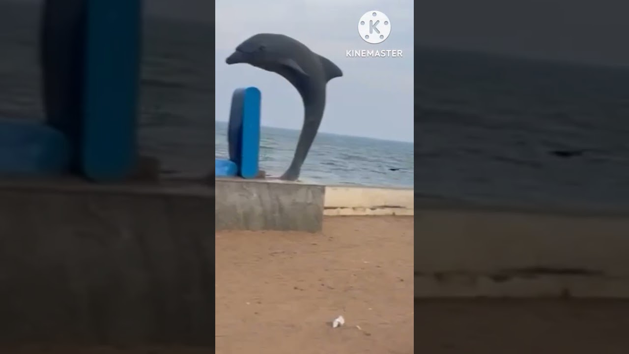 DAY - 220 BHEEMLI BEACH #dailyfoodseries #homefoodlovers Follow me on Instagram Mohammed Uddin 2022