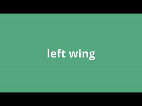 what is the meaning of left wing