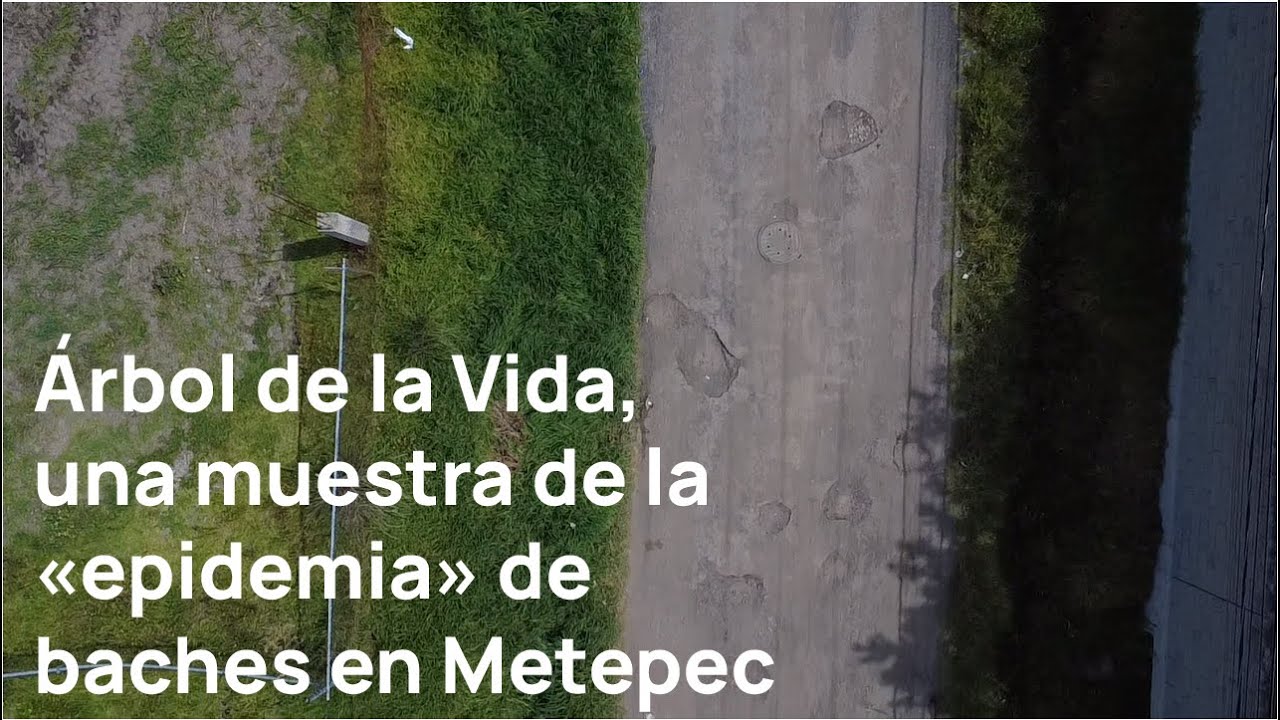 Árbol de la Vida, una muestra de la «epidemia» de baches en Metepec