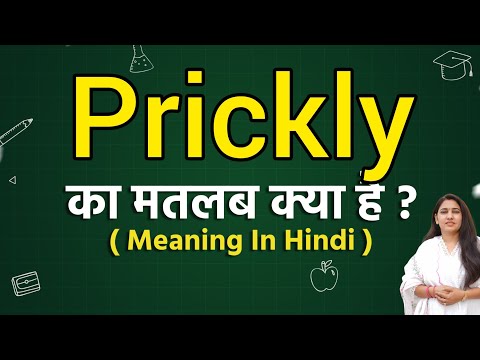 Prickly meaning in hindi | Prickly ka matlab kya hota hai | Word meaning