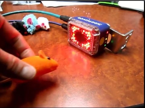 Data Logic Matrix 300 - Scanning bar coded ear tags