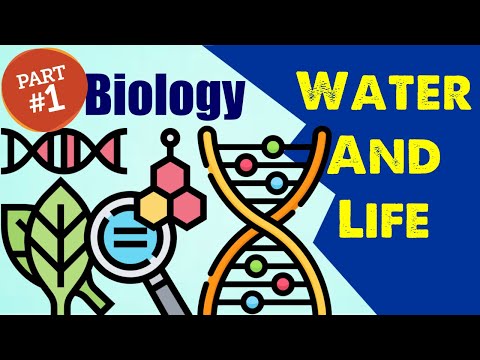 Biology Chapter 3: Water and Life (1/1)