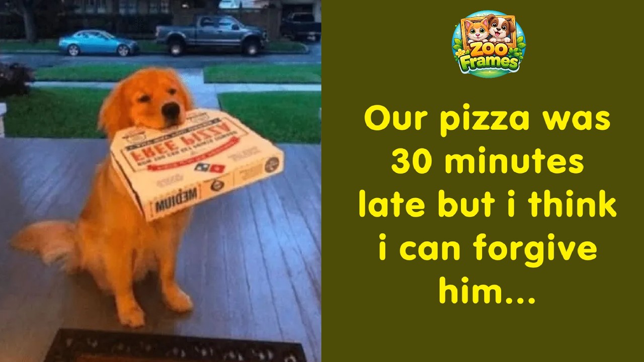 Wholesome Animal Memes That Will Instantly Make You Smile 🐾 | ZooFrames