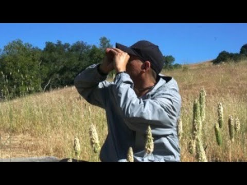 The SSIP: Introducing Charles