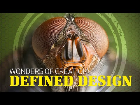 Wonders of Creation: Defined Design