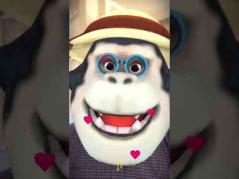 What is a group of penguins called? Fun Penguin Facts with Rilla From Tracks!