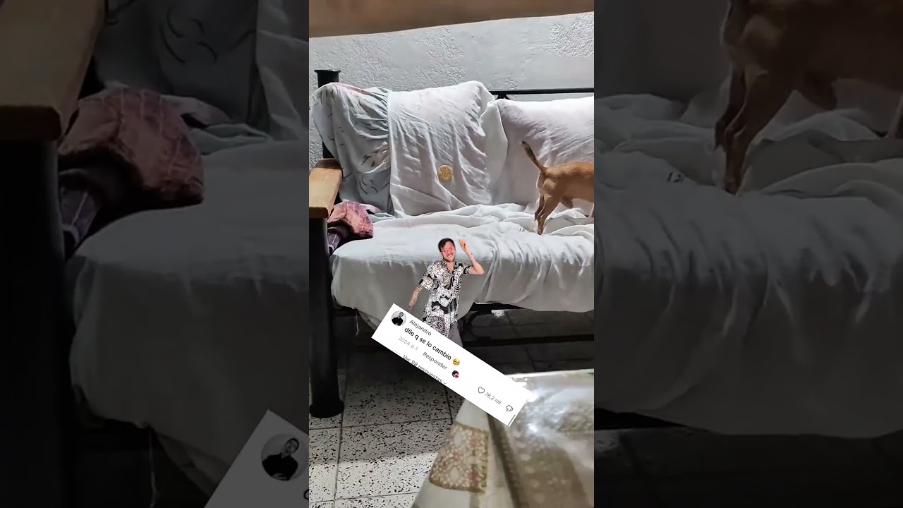 El perrito y su galleta HAJA #humor