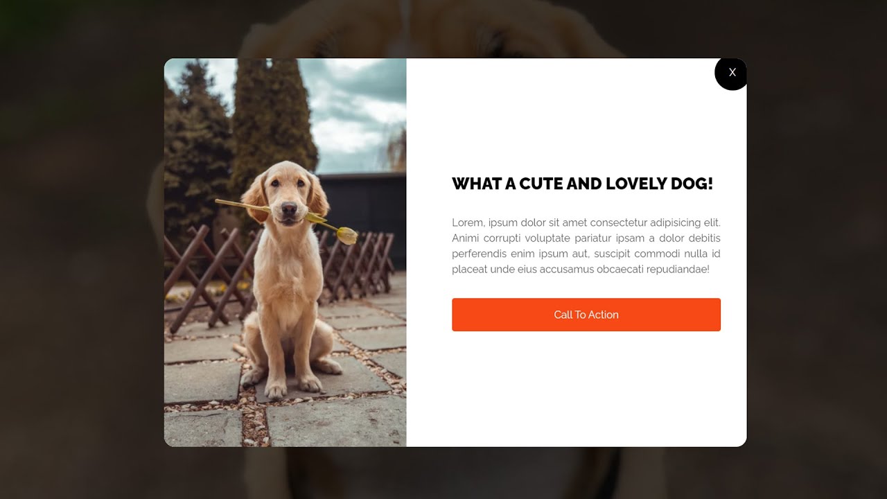 How To Create a Modal PopUp with HTML and CSS