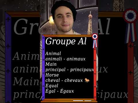 French plurals Al - Full video in the description #français#french #France