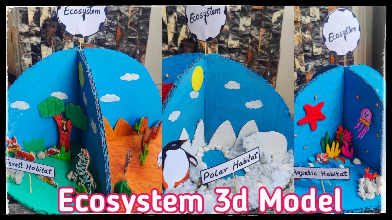 3d Model of Ecosystem| Ecosystem 3d model with cardboard|Science Model for exhibition