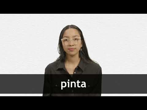 English Translation of “PINTA” | Collins Spanish-English Dictionary