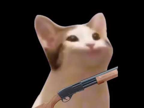 Funny animals Cat twerking