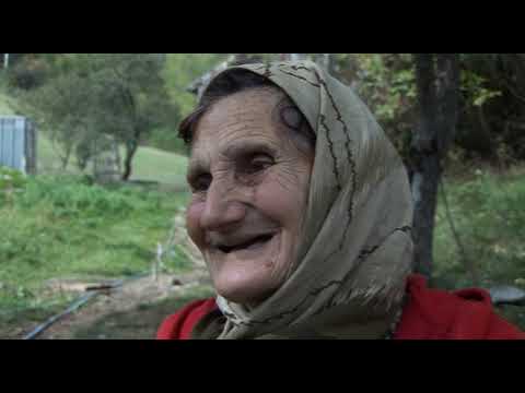KORENI - KALJIN 2013 g.