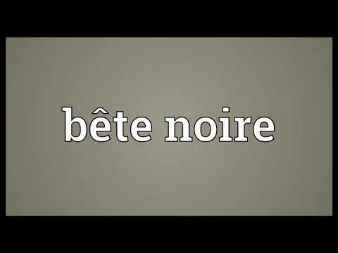 Bête noire Meaning