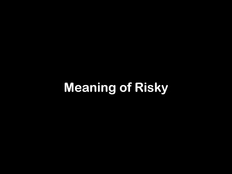 What is the Meaning of Risky | Risky Meaning with Example