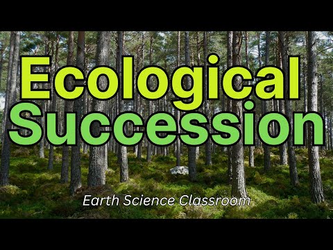 What Is Ecological Succession?