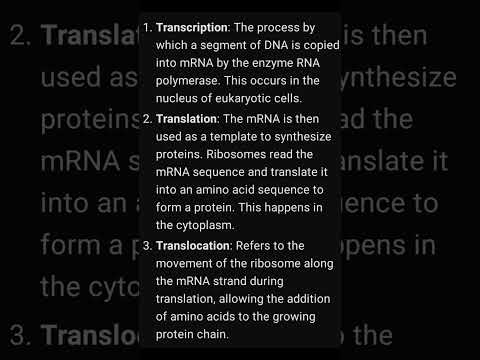 Translation Translocation Transcription Define #biology#DNA#shorts
