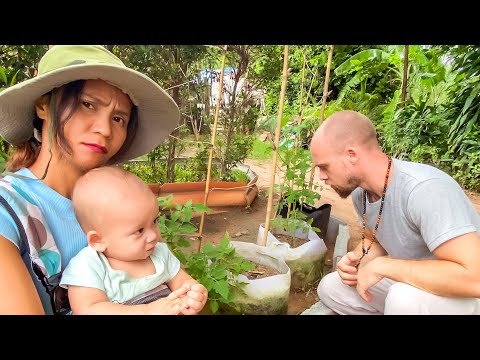 Not Looking Good.. Barely Living Off The Land In Rural Thailand ????????