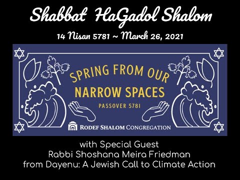 Shabbat HaGadol Services for 3/26/21 (14 Nisan 5781) with Rabbi Shoshana Meira Friedman from Dayenu