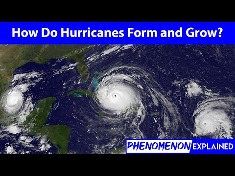 How do Hurricanes Form and Grow?--Phenomenon Explained