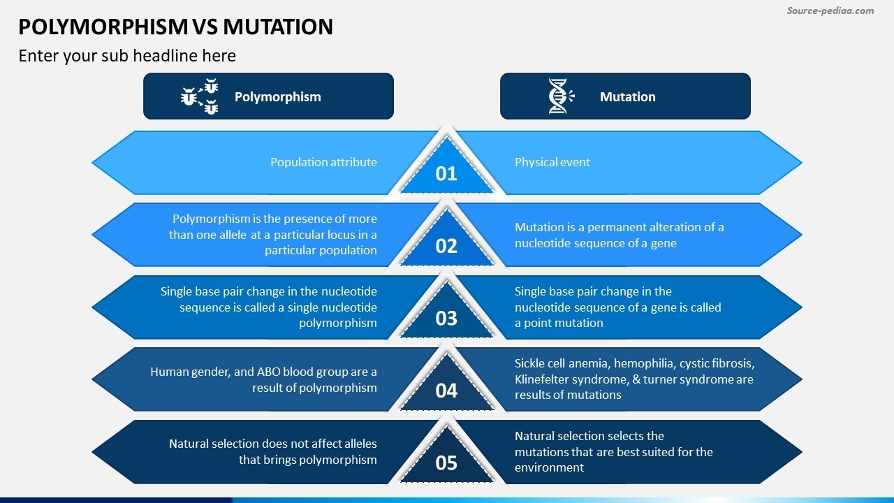 Polymorphism vs Mutation Animated PowerPoint Slides