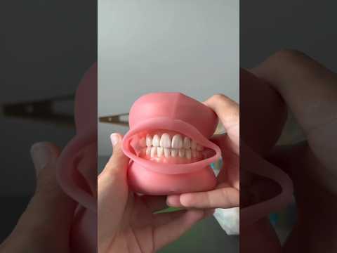 Unboxing my Typodont 📦➡️🦷 #dentalstudent #dentalschool #dentist #dental #dentistry #dentallife