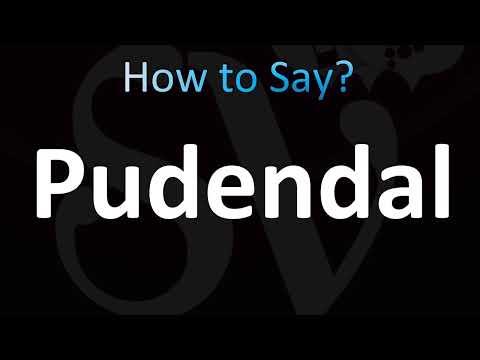 How to Pronounce Pudendal (CORRECTLY!)