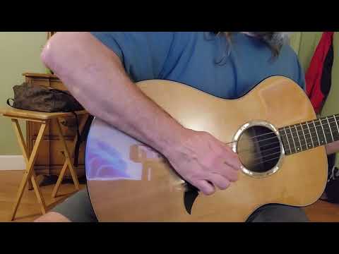 Breedlove C20 Steve Henderson | Reverb