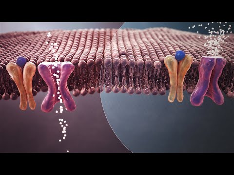 Diabetes and Insulin: A Triumph for Recombinant DNA Technology