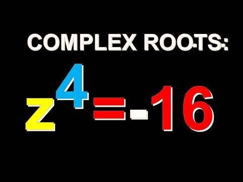 fourth roots of negative 16