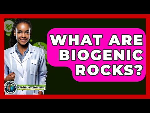 What Are Biogenic Rocks? - Earth Science Answers