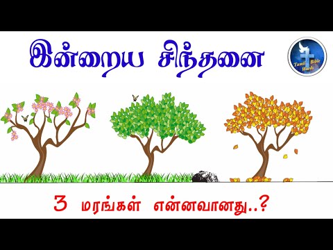 3 tree story | Thought for the day | Epi - 262| இன்றைய சிந்தனை | Tamil bible