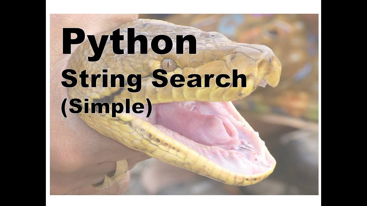 650 - Python - String Search, Simple