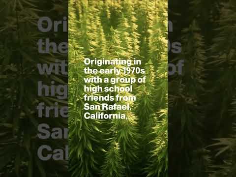 Four Twenty - 4:20