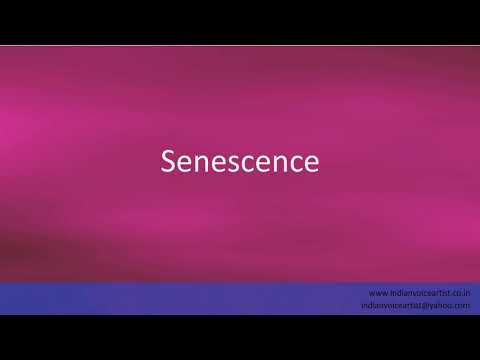 Pronunciation of the word(s) "Senescence".