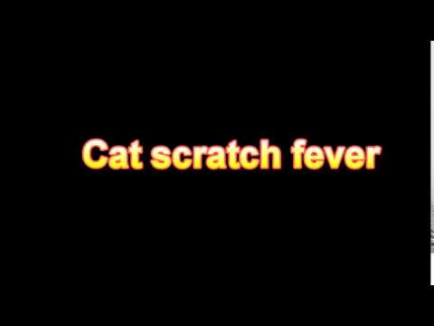 What Is The Definition Of Cat scratch fever - Medical Dictionary Free Online